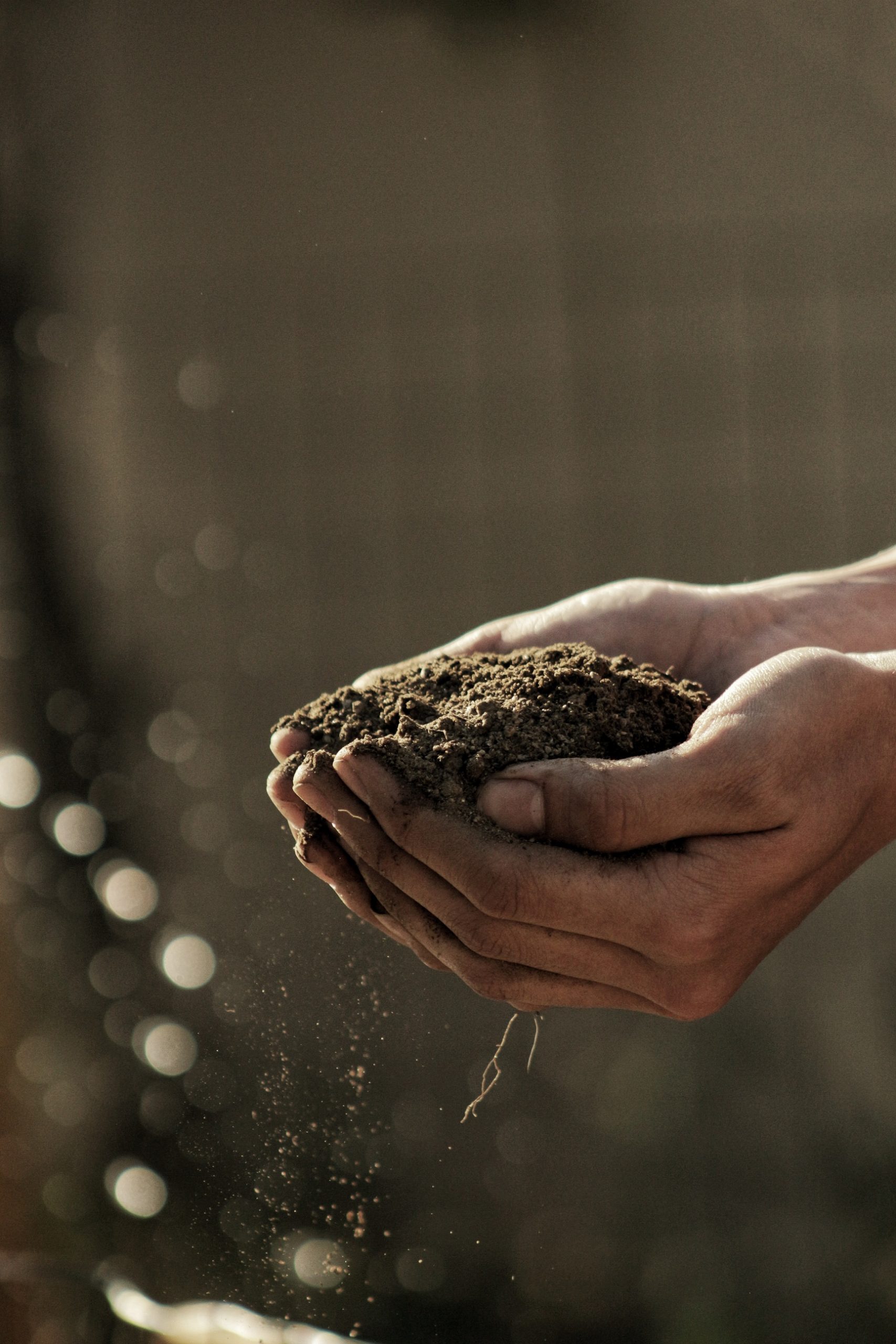 Food Wastage In SA Why It Harms The Planet And What You Can Do To Food Wastage In SA Why It Harms The Planet And What You Can Do To